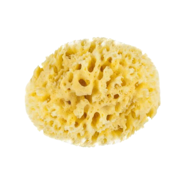 Bath Sponge Natural – Toytastic Malta